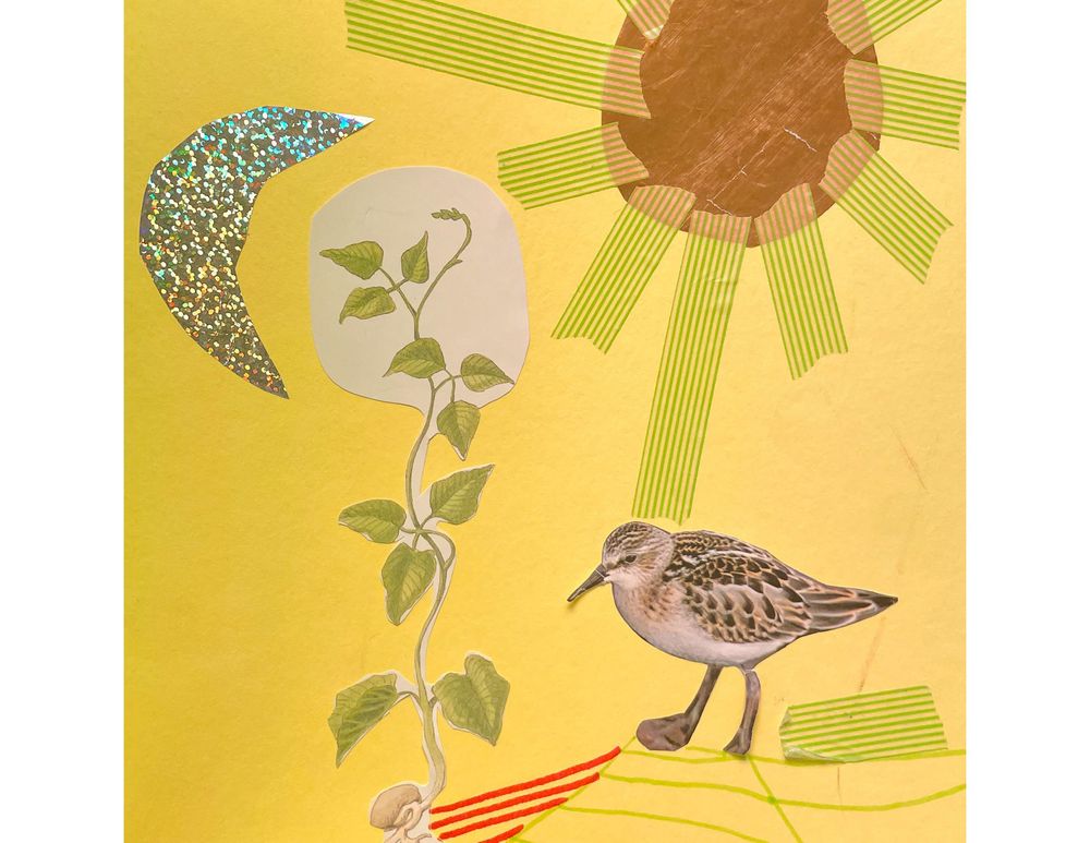 Barnas minnearkiv – en workshop med kunstner Ayman Alazraq