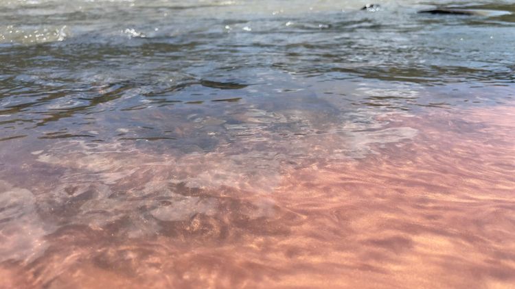 Robel Temesgen Eye of a Water – ዐይነ-ውሃ