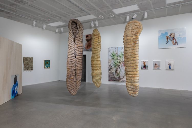 Young Curators Melketenner / Milk Teeth